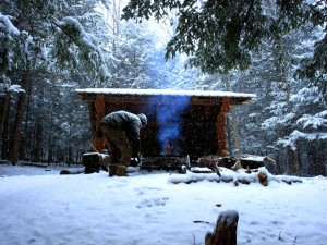 Danby State Forest – Go Finger Lakes