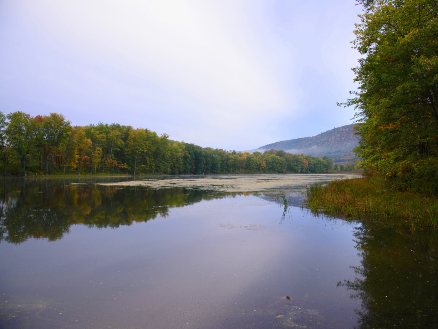 Lindsay-Parsons Biodiversity Preserve – Go Finger Lakes