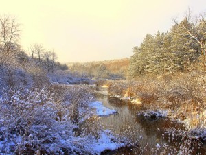 Danby State Forest – Go Finger Lakes