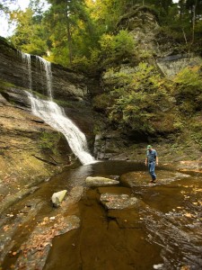 Bear Swamp State Forest – Go Finger Lakes