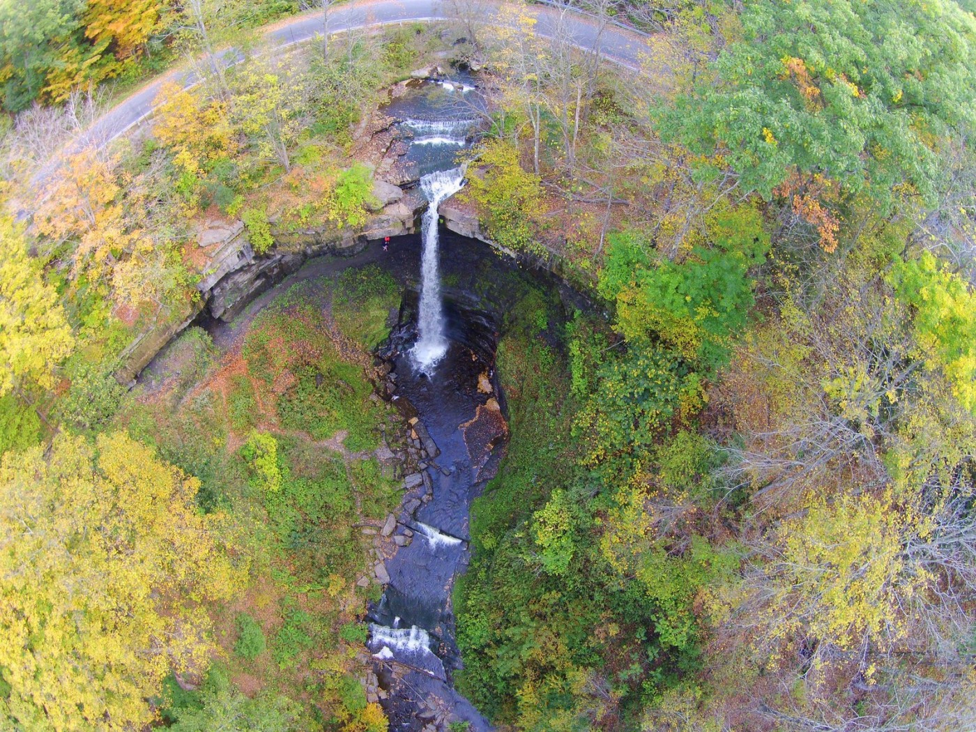 Bahar Preserve & Carpenter Falls – Go Finger Lakes