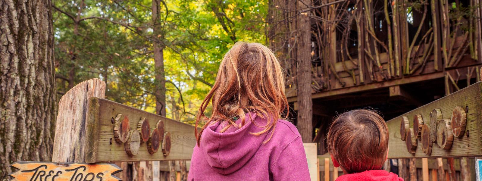 Cayuga Nature Center – Go Finger Lakes