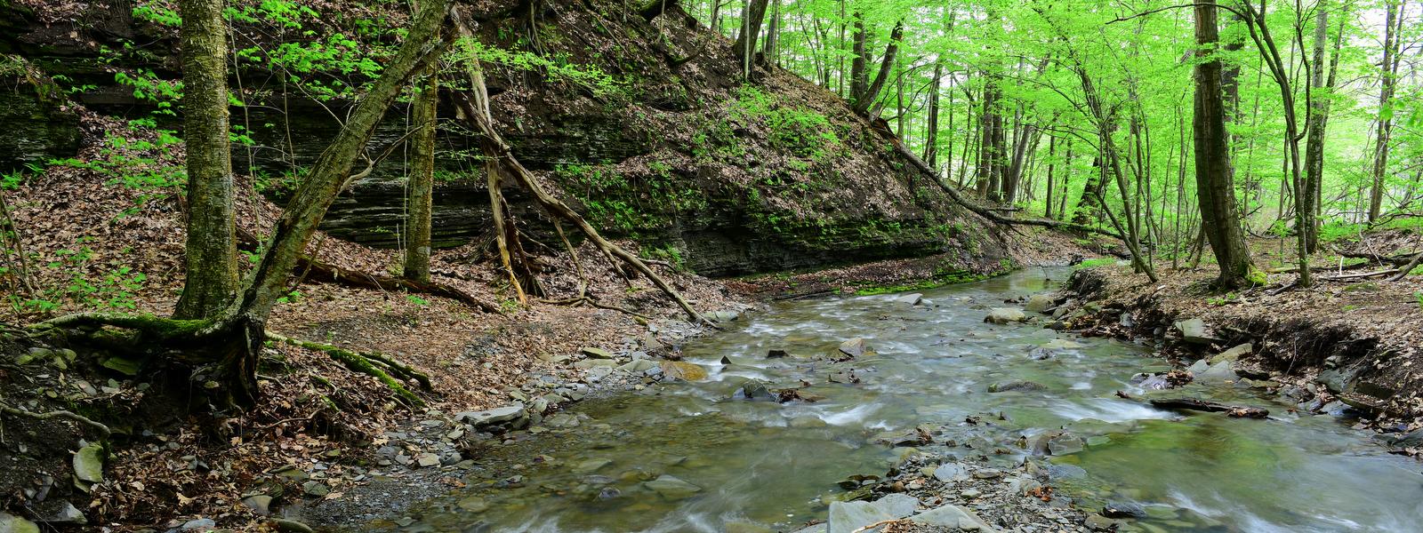 Hi Tor Naples Ny Trail Map Conklin Gully: Full Of Falls | Finger Lakes