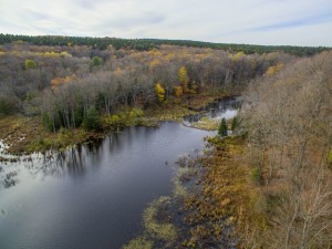 Bear Swamp State Forest – Go Finger Lakes