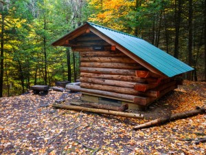 Danby State Forest – Go Finger Lakes