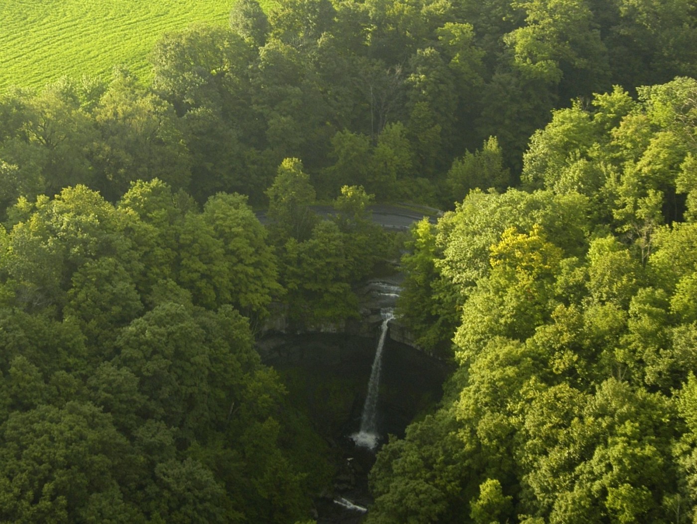 Bahar Preserve & Carpenter Falls – Go Finger Lakes