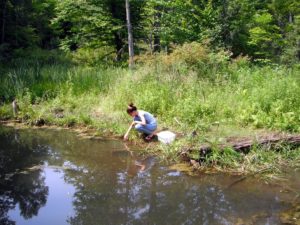 Best Spots in the Finger Lakes for Biodiversity – Go Finger Lakes
