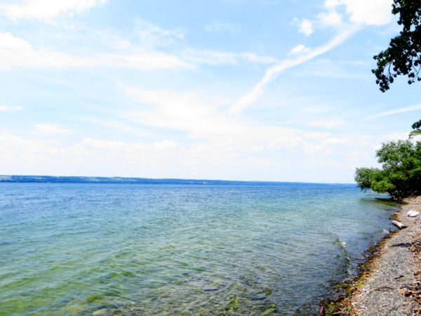 Favorite Swimming Spots in Finger Lakes – Go Finger Lakes